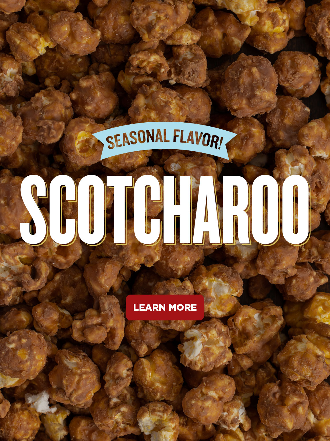 Home - Great American Popcorn Company